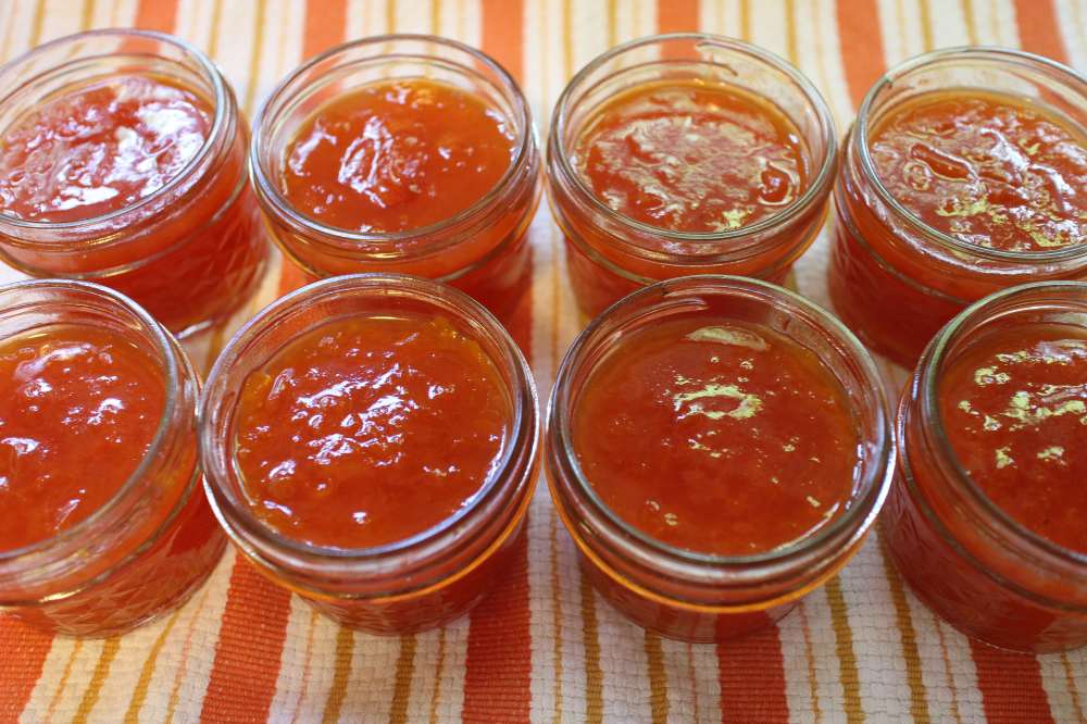 Last Chance Jams: Apricot Sour Cherry Jam and Apricot Red Currant Jam ...