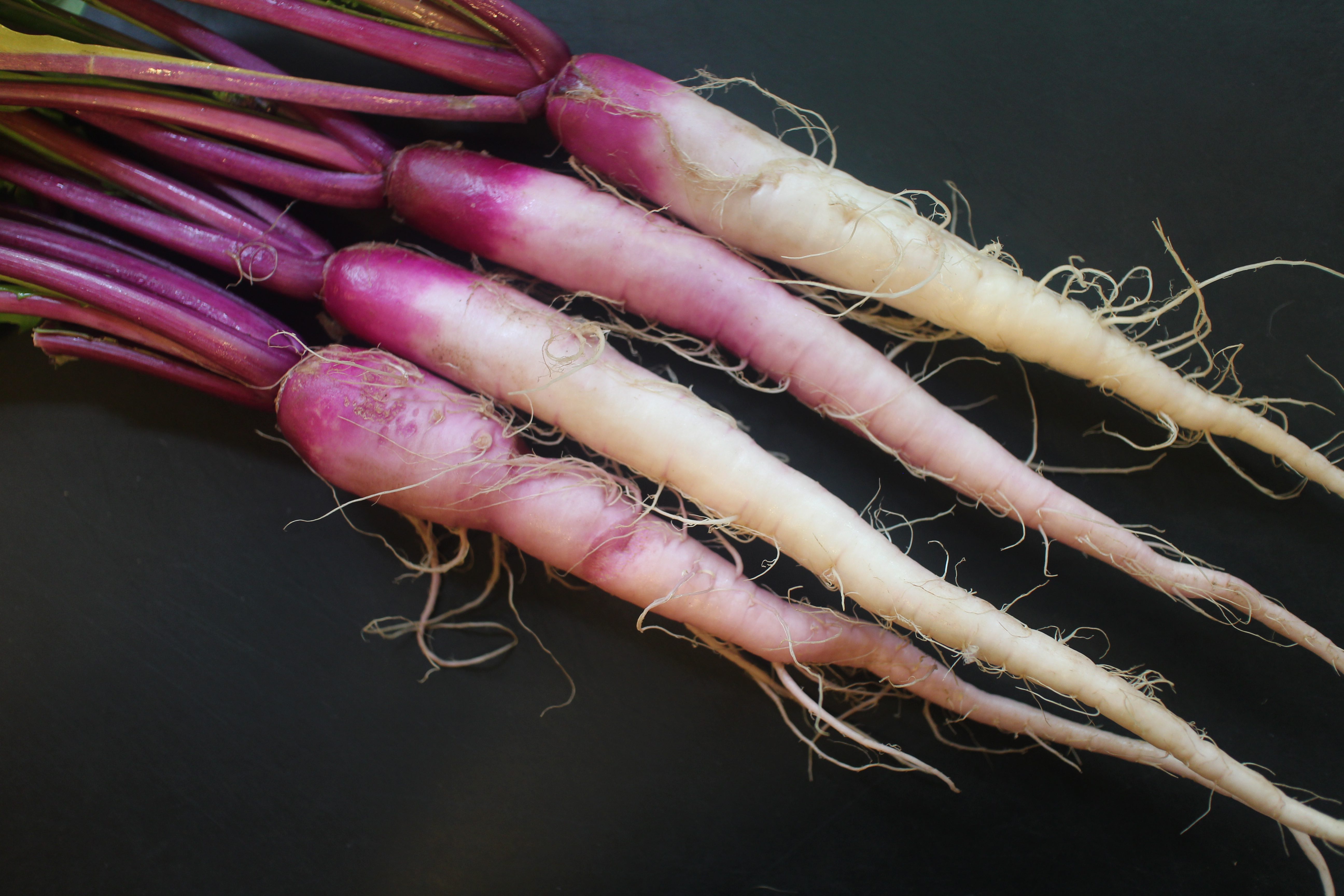 Pickled Japanese Long Turnips, Hinona Kabu – PROSPECT THE PANTRY